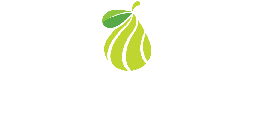 Painho - Marca ‹ Slingshot Comunicação e Multimédia